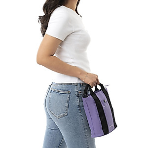 Sherpani Capri, Small Crossbody Purse with Coin Purse, Mini Tote Bag, Cross Body Purse, Small Crossbody Bag, Christmas Gifts for Women (Iris)