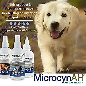 Manna Pro MicrocynAH Anti-Itch Spray Gel with Moisturizing Dimethicone for Dogs | Non-Irritating Spray Formulated to Hot Spot Pain and Itch | Veterinarian Recommended Non-Toxic Formula | 8oz