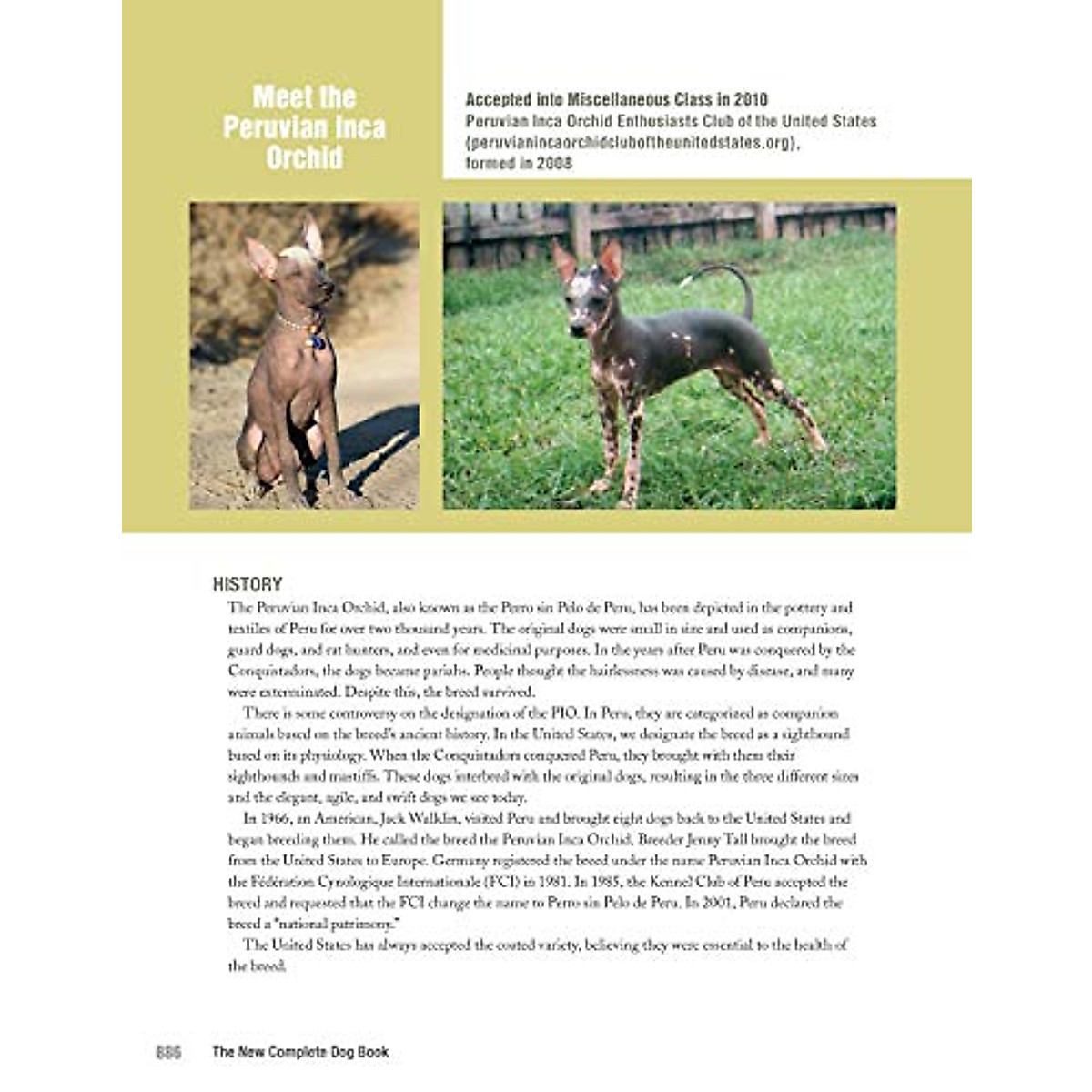 The New Complete Dog Book, 22nd Edition: Official Breed Standards and Profiles for Over 200 Breeds (CompanionHouse Books) American Kennel Club's Bible of Dogs: 920 Pages, 7 Variety Groups, 800 Photos