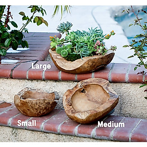 Garden Age Supply Hand Sculpted Natural Reclaimed Teak Wood Bowl Planter (Medium)