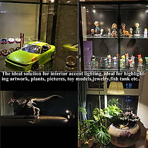 Taysing LED Spot Light Indoor Picture Lights Art Lights Accent Lights Little Spotlight Up Lights for Painting Picture Plants Jewelry Showcase Model Display Shelves Under Cabinet(Soft White 2700K)