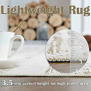 jinchan Area Rug 3x5 Bedroom Rug Boho Rug Moroccan Floor Cover Bathroom Rug Mudcloth Rug Sketch Geometric Bohemia Mat Taupe Dimond Non Slip Carpet for Living Room Kitchen Rug Dining Room Entryway