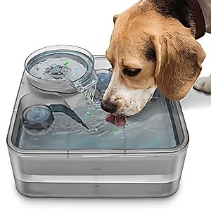 Upgraded 1.85Gal Dog Water Fountain, Automatic Cat Water Fountain Pet Water Dispenser with Double Filter Specially for Large Dogs and Multiple Pets