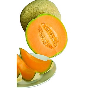 Burpee Hale's Best Jumbo Cantaloupe Melon Seeds 200 seeds