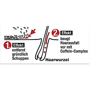Alpecin Doppel-Effekt Shampoo â€“ 6.8 oz / 200ml - fresh from Germany