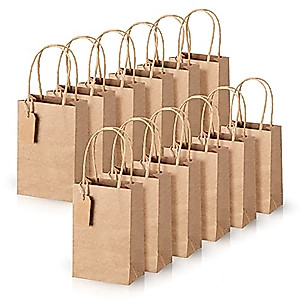 24 Pieces Mini Kraft Paper Bags with Handles 6.25 x 3.5 Inch Paper Party Favor Bag, 24 Pieces Blank Kraft Paper Tag Hanging Labels and 33 Feet Long Twine Rope for Treat Bags, Shopping Bags (Brown)