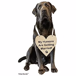 Pulse Brands Engagement Photo Prop Sign - My Humans are Getting Married - Engagement Gifts - Bride to Be - Engaged - Engagement Gifts for Couples