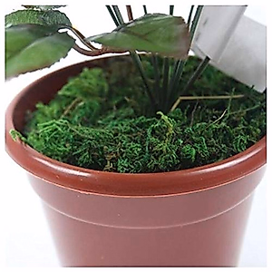 140ml Railroad Scenery Forest Ground Cover Static Grass Artificial Moss War Gaming Scenery Miniature Basing Material Landscape Model Modelling Diorama Railway Railroad Layout Hobby (Green)