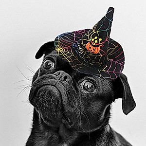 BESTOYARD Halloween Witch Hat Spider Web Pumpkin Pattern Mini Pet Hat Cat Dog Hat Party Cosplay Costume (Star Pumpkin)