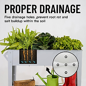 LEETOLLA 𝐑𝐚𝐢𝐬𝐞𝐝 𝐆𝐚𝐫𝐝𝐞𝐧 𝐁𝐞𝐝 𝐎𝐮𝐭𝐝𝐨𝐨𝐫 Elevate Herb Garden Planter Box Outdoor Raised Planter Box with Legs On Wheels for Vegetables Flower Tomato Patio Backyard