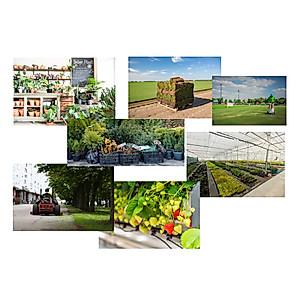 Southern Ag 05802 Concentrate Insecticidal Soap