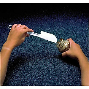 Rubbermaid Commercial Products Scraper Spatula/Food Scraper, 13.5-Inch, White, Kitchen Supplies for Baking/Cooking/Mixing in Kitchen/Restaurant