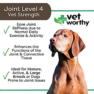 Vet Worthy Joint Support Level 4 - Chewable Tablet| Supports Bone Health and Healthy Joints - Dog Supplement with Glucosamine and Hyaluronic Acid | Vet Strength Joint Care | Liver Flavor, 60-Count