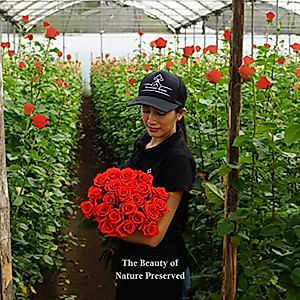 Mothers Day Flowers | Premium Roses | Fresh Flowers for Delivery Prime That Last 365 Days | Red Roses in a Box Naturally Preserved | Flowers for Mothers Day, Birthdays and Any Ocation (Black Box, Small)