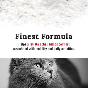 Mojo Joint Supplement for Dogs and Cats, Feline + Canine Food Grade Hip & Joint Supplement with Glucosamine and Chondroitin, Dog & Cat Mobility Supplement (Large, 16 oz)