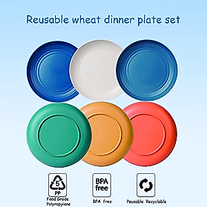DLF. DONGLINFENG Wheat Straw Plates 6-Piece Unbreakable Wheat Plastic Dinner Plates (Deep Dish/Picnic Plate) 9-Inch