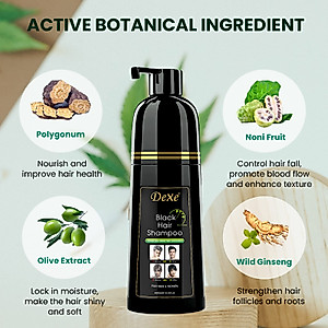 COSMTEK Black Hair Dye Shampoo, Semi-Permanent Hair Color Shampoo for Women and Men, Herbal Ingredients and No Ammonia, 3 in 1-100% Grey Coverage DEXE(14 Fl oz)