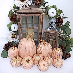 Winlyn 10 Pcs Assorted Artificial Gold Brushed Pink Pumpkins Rustic Decorative Pumpkins Foam Pumpkins for Farmhouse Fall Wedding Baby Shower Halloween Tabletop Centerpiece Mantel Decoration