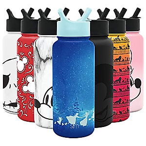 Simple Modern Disney Water Bottle with Straw Lid Vacuum Insulated Stainless Steel Metal Thermos | Reusable Leak Proof Flask for Gym, Travel, Sports | Summit Collection | 32oz Frozen Snowy Enchantment