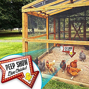 Bigtime Signs Peep Show Live Chicken Decor PVC 11"x9.5''- Chicken Coop Accessories - Chicken Gifts for Chicken Lovers, Chicken Brooder | Funny Chicken Decor for chicken feeder and chicken nesting box