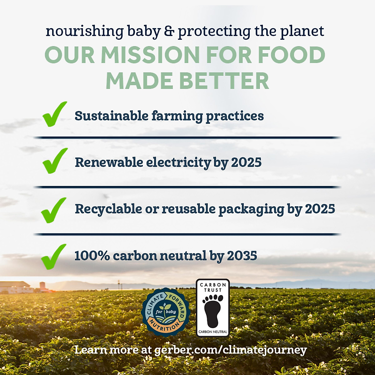 Gerber 2nd Foods Organic for Baby, Mango Apple Banana, 4 oz Jar (10 Pack)