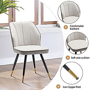 Andeworld Upholstered Dining Chairs Set of 2, Mid Century Modern Accent Chair, Faux Suede Armless Leisure Side Chair with Golden Metal Legs for Dining Living Room-Grey