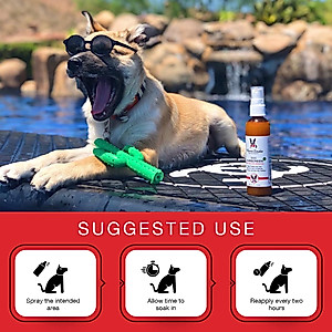 Warren London Dog Sunscreen Spray Protection with Aloe Vera I Dog Skin Soother I Puppy Sunblock I Made in USA- 4oz