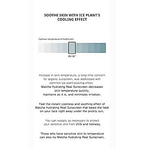 B_LAB Matcha Hydrating Real Sun Screen 50ml