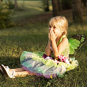 Great Pretenders Fairy Blooms Deluxe Dress with Wings, Green, Medium