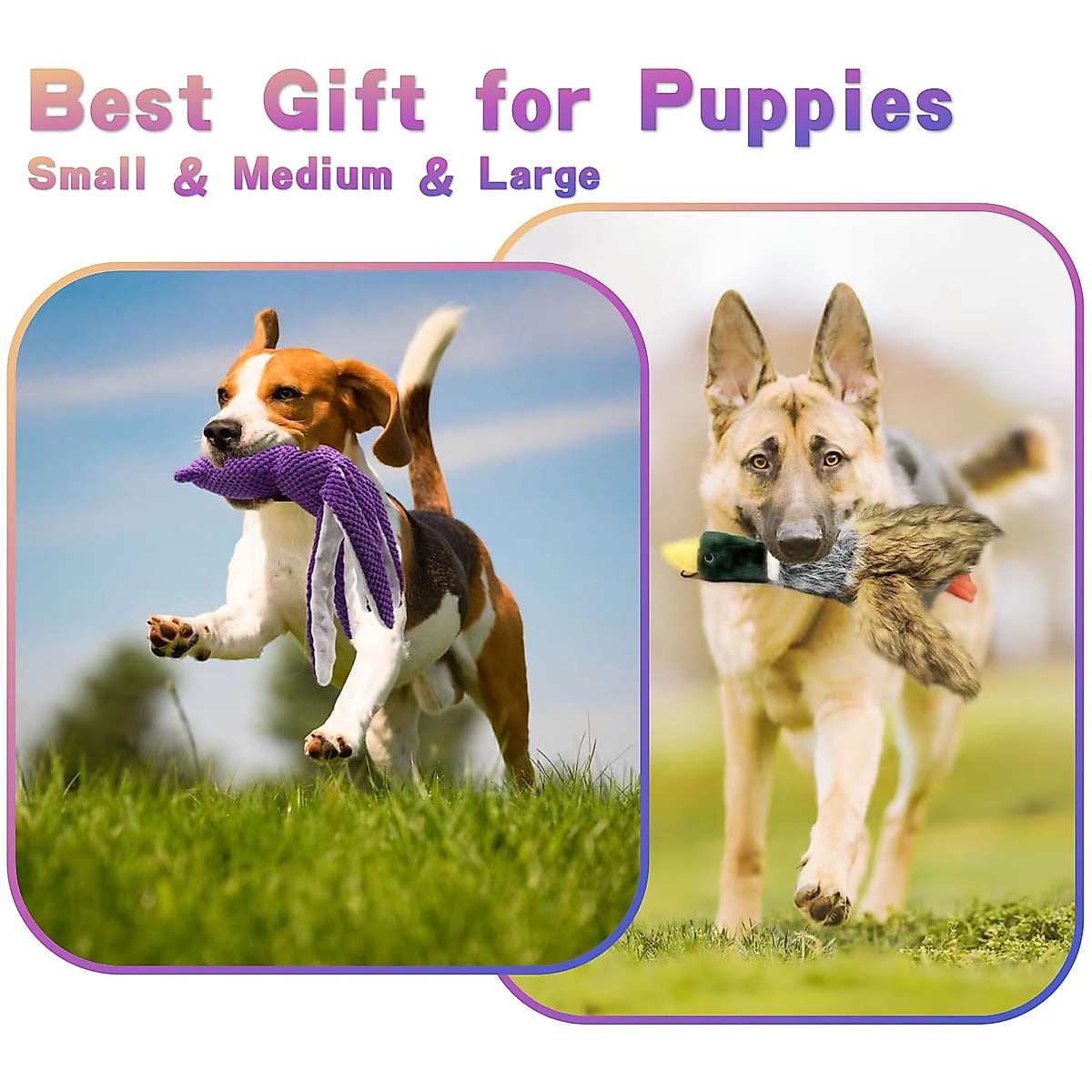 GOMUHE Dog Squeaky Toys, Plush Mallard Duck & Octopus Dog Toys Dogs, Plush Large Dog Toys, 16 Inch （2 Pack）