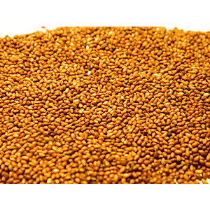 Viola Seeds – Classic Viola Colors aka “Johnny-Jump-Up” - Annual Heirloom Flower Seeds| Heirloom Seeds by Liliana's Garden |