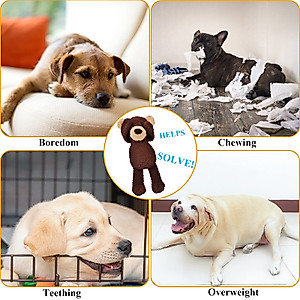 Ankinghor Squeaky Dog Toys, 3-Layered Durable Stuffed Dog Toys for Aggressive Chewers Medium Large Breed, Cute Plush Puppy Teething Chew Toys (Bear-L)