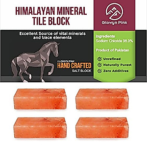Glowyn Pink Himalayan Salt Block Lick Brick – 4.4 lbs, 4 Pack – 8X 3.85 x 2 inches (fits Standard Salt Block Holder) - 100% Natural with Vital Minerals for Horses & Livestock.