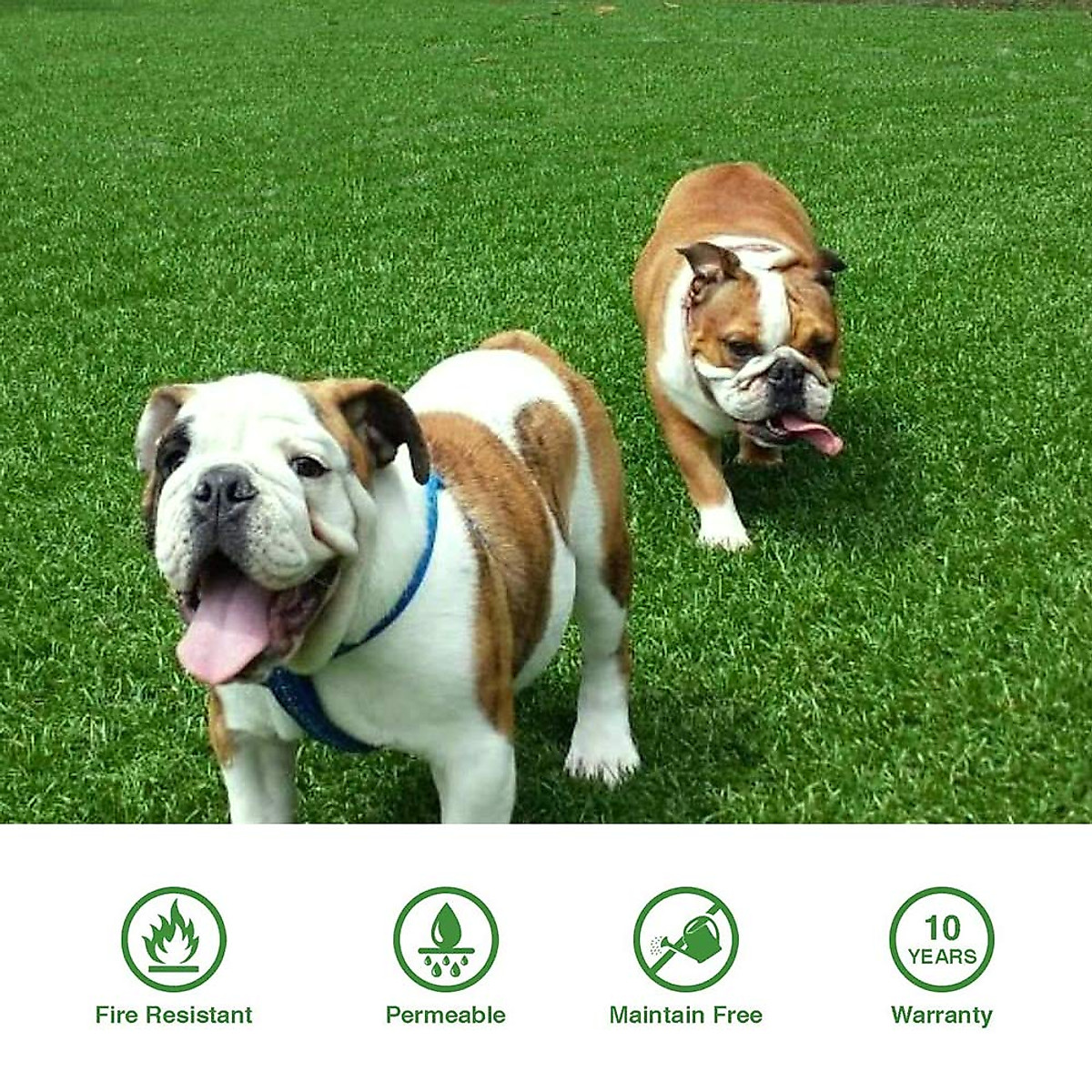 Fas Home Artificial Grass Turf 4FTX6FT(24 Square FT), 1.38" Pile Height Realistic Synthetic Grass, Drainage Holes Indoor Outdoor Pet Faux Grass Astro Rug Carpet for Garden Backyard Patio Balcony