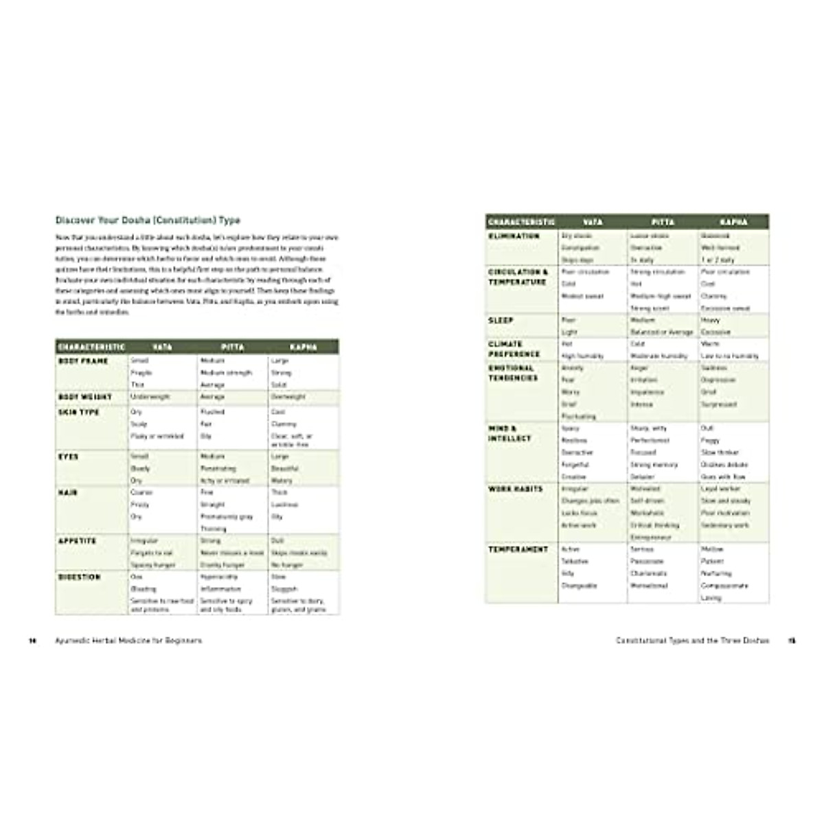 Ayurvedic Herbal Medicine for Beginners: More Than 100 Remedies for Wellness and Balance