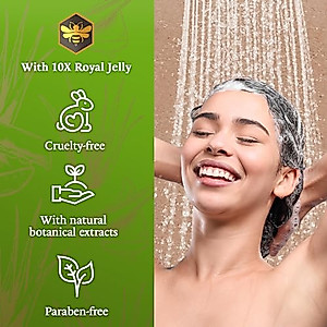 Tio Nacho Shampoo, 14 Oz - Organic Aloe Vera Deep Repair, Paraben Free, Silicone Free, for Dry Damaged Frizzy Hair