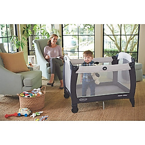 Graco Pack 'n Play Playard with Reversible Seat & Changer LX, Basin