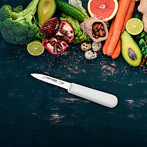 Dexter-Russell 3 pack of 3¼Paring Knives, S104-3PCP, SANI-SAFE Series, Silver, White