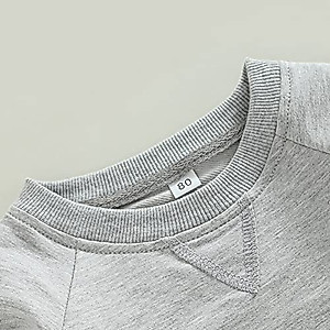Gueuusu Toddler Kids Baby Boy Girl Crewneck Sweatshirt Cotton Long Sleeve Solid Color Pullover Top Casual Spring Fall Clothes (Light Gray , 6-12 Months )