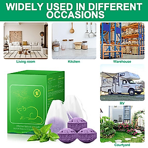 24 Pcs Mouse Repellent Balls, High-Strength Peppermint Oil Mouse Repellent, Keep Rodents, Mice, Rats, Squirrel Other Rodents Away, Mice Repellent for Car, Garage, Attic, RV, Mouse Deterrent