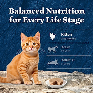 Blue Buffalo Wilderness High-Protein Grain-Free Wet Kitten Food, Chicken Paté Recipe, 3-oz. Cans, 6-Count
