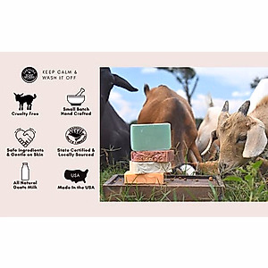 Carolina Soap Works Goat Milk Soap Bar, Blackberry Vanilla scented, (1 Pack), All-Natural, Handmade USA, Organic, Cruelty Free, Artisanal Aloe Soap, Made for Psoriasis, Eczema, & Dry Sensitive Skin