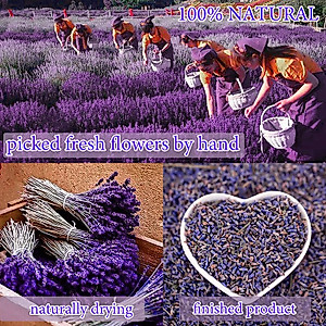 20 Bags Dried Flowers,100% Natural Dried Flowers Herbs Kit for Soap Making, DIY Candle Making,Bath - Include Rose Petals,Lavender,Don't Forget Me,Lilium,Jasmine,Rosebudsand More