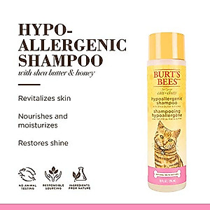 Burt's Bees for Pets Cat Hypoallergenic Cat Shampoo with Shea Butter & Honey | Best Shampoo for Cats with Dry or Sensitive Skin | Cruelty Free, Sulfate & Paraben Free, pH Balanced for Cats - 10oz