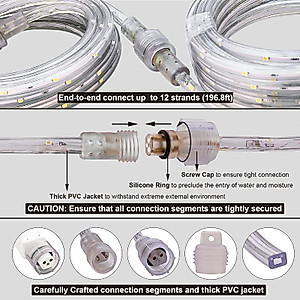 Areful Daylight Rope Lights, 16.4ft Flexible Waterproof LED Strip Light, Nature White, Indoor Outdoor Decorative Lighting for Home Christmas Holiday Garden Patio Party