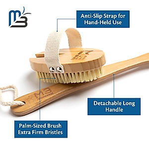 Dry Body Brush | Anti Cellulite Brush | Blood Circulation, Skin Smoothing | Tighten, Tone, Exfoliate & Firm Skin | Use on Scalp, Skin & Muscles