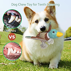 Stuffed Plush Dog Toys for Medium Dogs Squeaky Dog Toys for Dogs Squeaky Plush Dog Toys for Medium Dogs Small Dogs for Teething