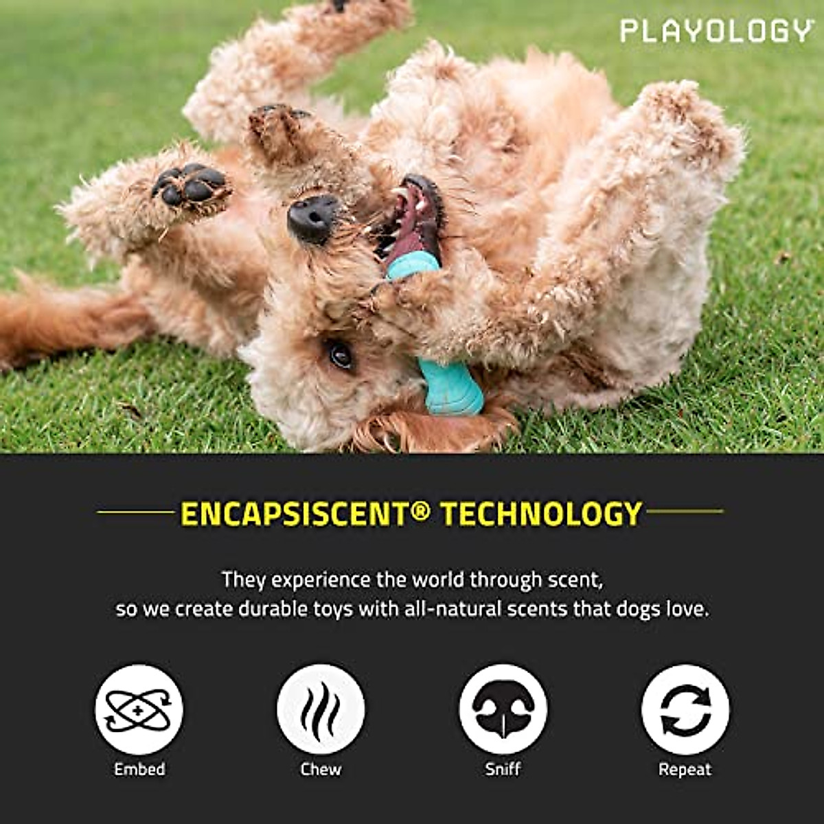 Playology Dual Layer Bone Dog Toy, for Large Dogs (35lbs and Up) - for Heavy Chewers - Engaging All-Natural Peanut Butter Scented Toy - Non-Toxic Materials
