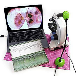 HUE HD portable USB camera (Black)