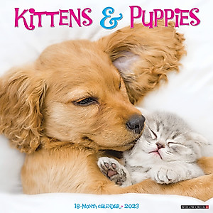 Kittens & Puppies 2023 Wall Calendar